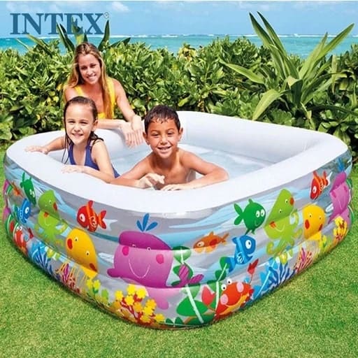 Piscine Aquarium Intex Jouets Et Articles B b Tunis Tunisie Piscine Aquarium Intex Jouets Et Articles B b Tunis Tunisie